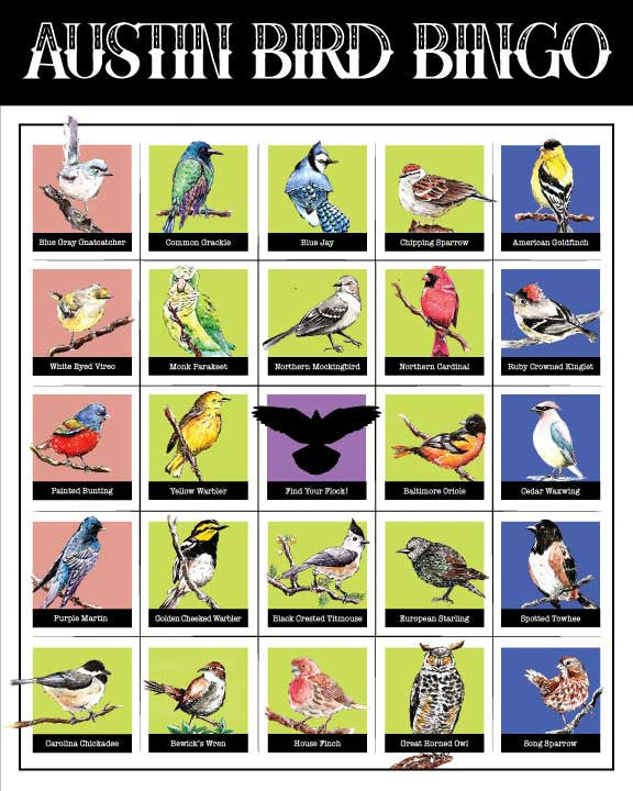 The Bird Bingo Card by Emily Tolipova of Where'd The Wild Things Go ...